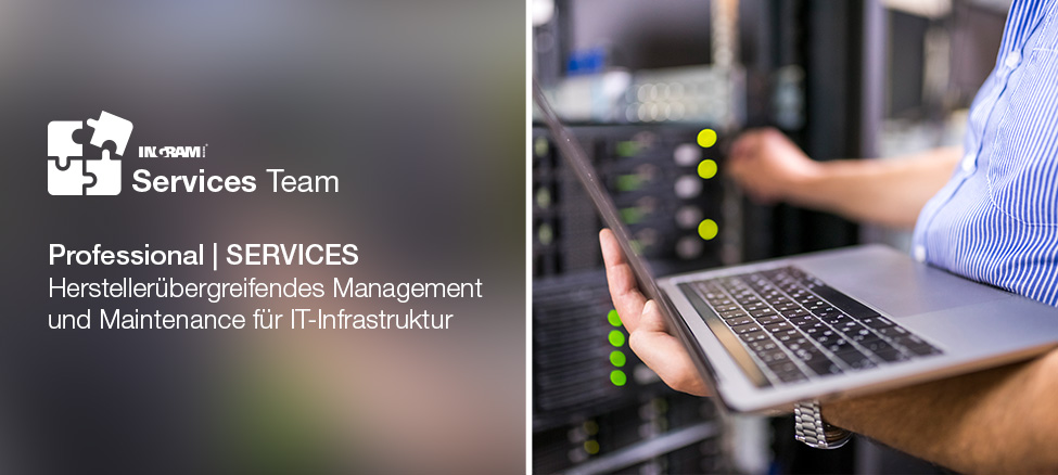 Professional I SERVICES: Werden Sie Managed Service Provider! | Ingram ...